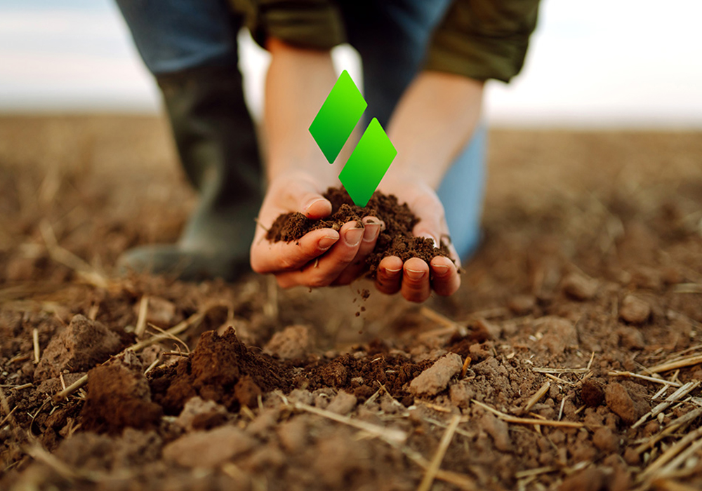 Cense Analytics - SOC Stock specialist