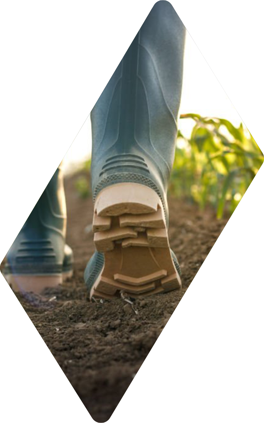 web_symbol_Verification_2_loweres - Cense Analytics